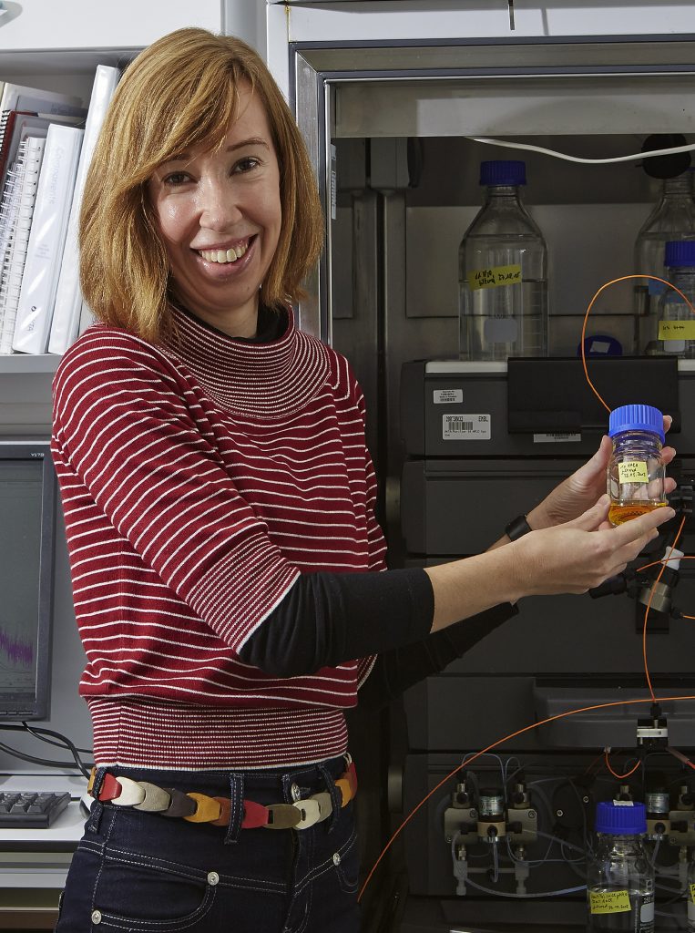 Executive Board Members – P4EU